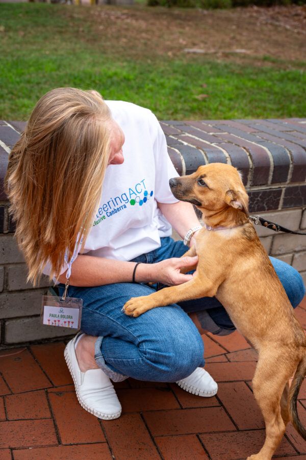 2026 Volunteering Expo - VolunteeringACT